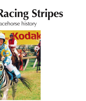 Preview: Racing Stripes