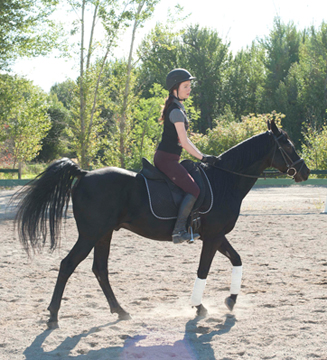 On the set of Flicka: Country Pride – On DVD today « Celebrity Gossip ...