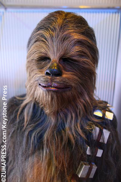 Star Wars Chewbacca head auctioned off for $172,000 « Celebrity Gossip ...