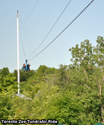 Try out celebs’ latest craze – zip-lining! « Celebrity Gossip and Movie ...