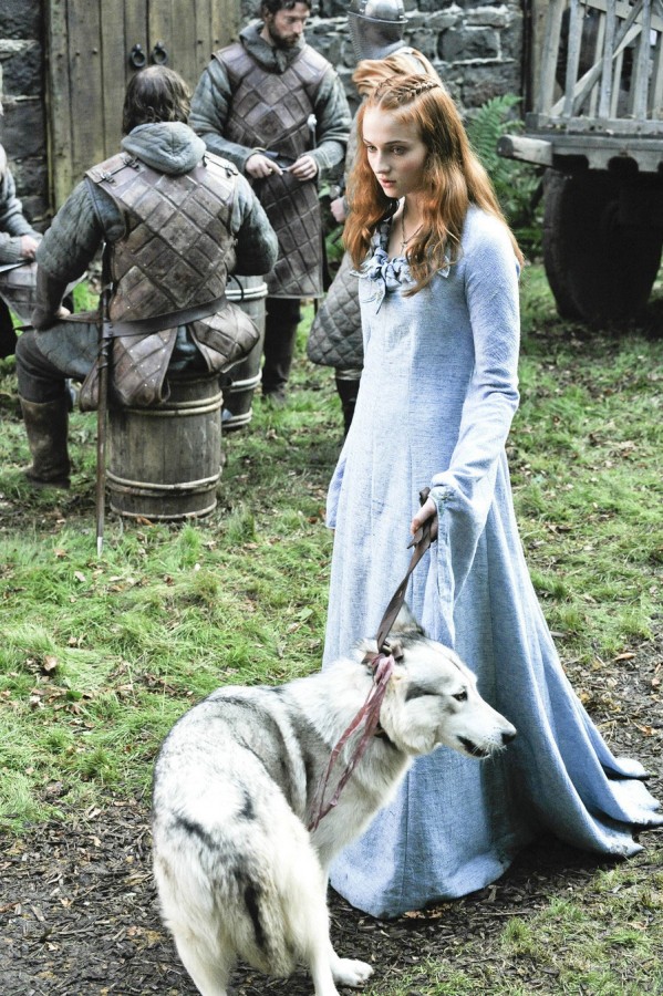 Sansa Stark’s direwolf « Celebrity Gossip and Movie News