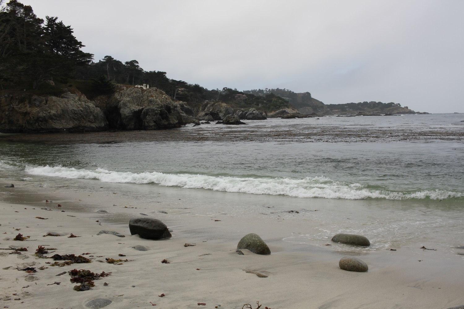 Point Lobos State Natural Reserve cove « Celebrity Gossip and Movie News