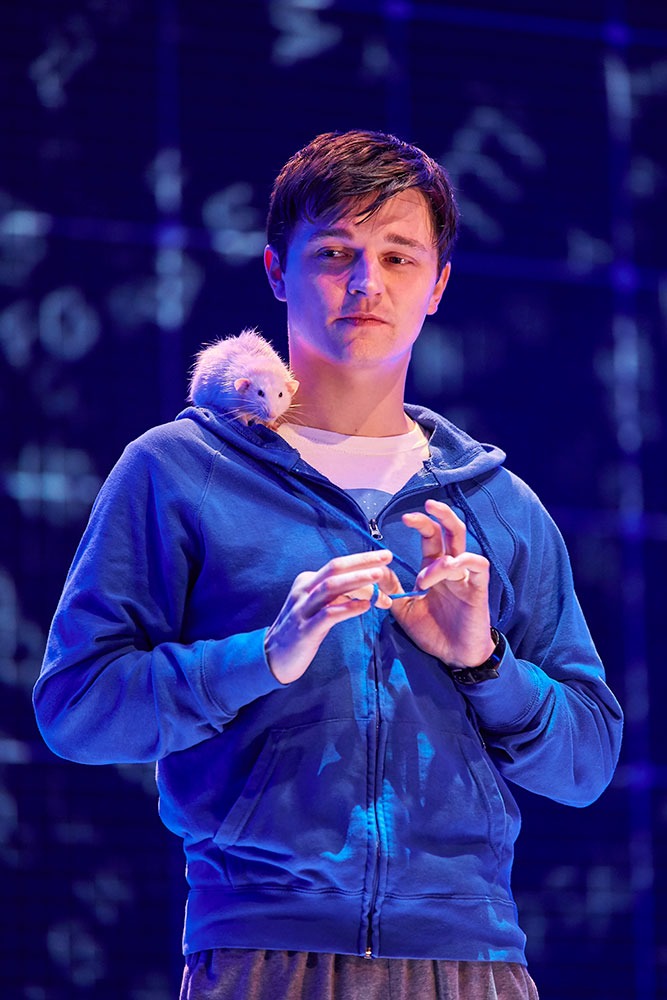 The Curious Incident of the Dog in the Night-Time: Theatre review ...