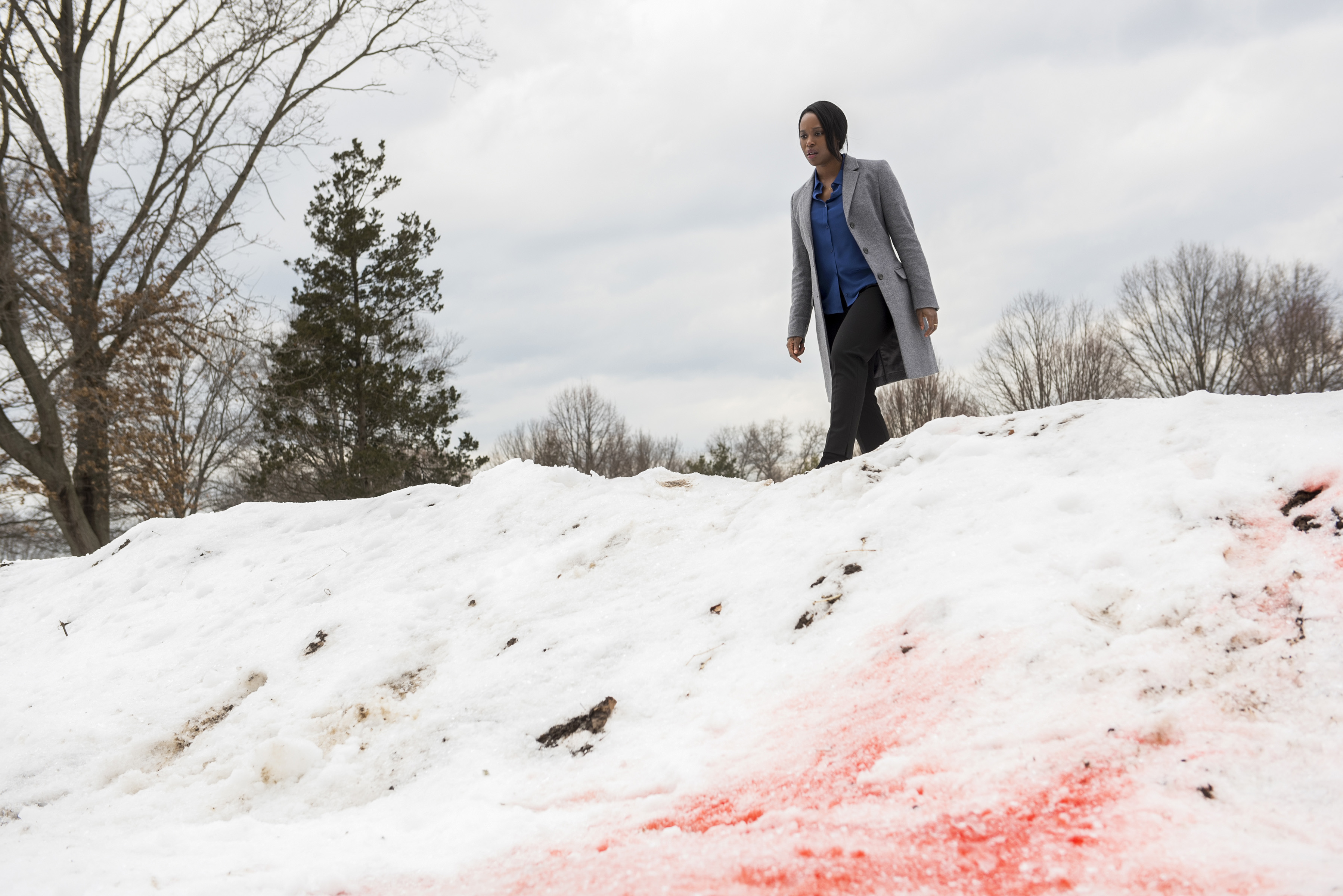 Netflix’s Seven Seconds a chilly crime drama « Celebrity Gossip and ...