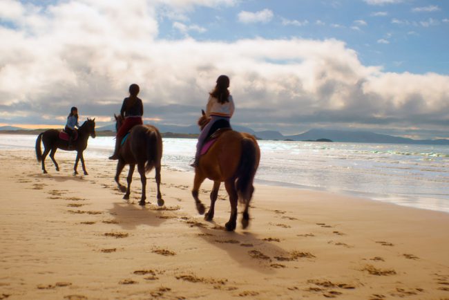 Free Rein, Season 3 – July 6 « Celebrity Gossip and Movie News