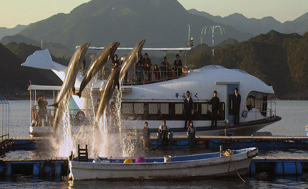 The Cove (2009) « Celebrity Gossip and Movie News