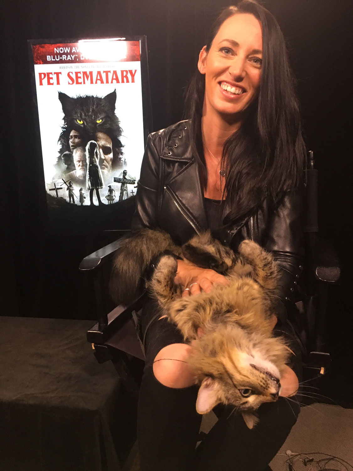 Meet Pet Sematary trainer Melissa Millett and star cat Tonic « Celebrity Gossip and Movie News