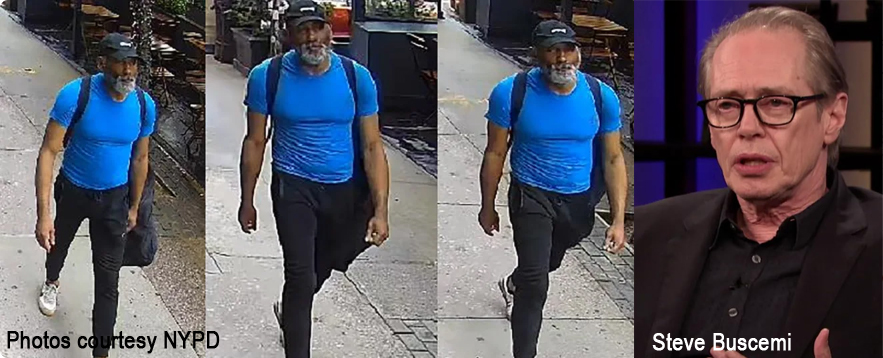 Actor Steve Buscemi’s attacker identified in New York City « Celebrity Gossip and Movie News