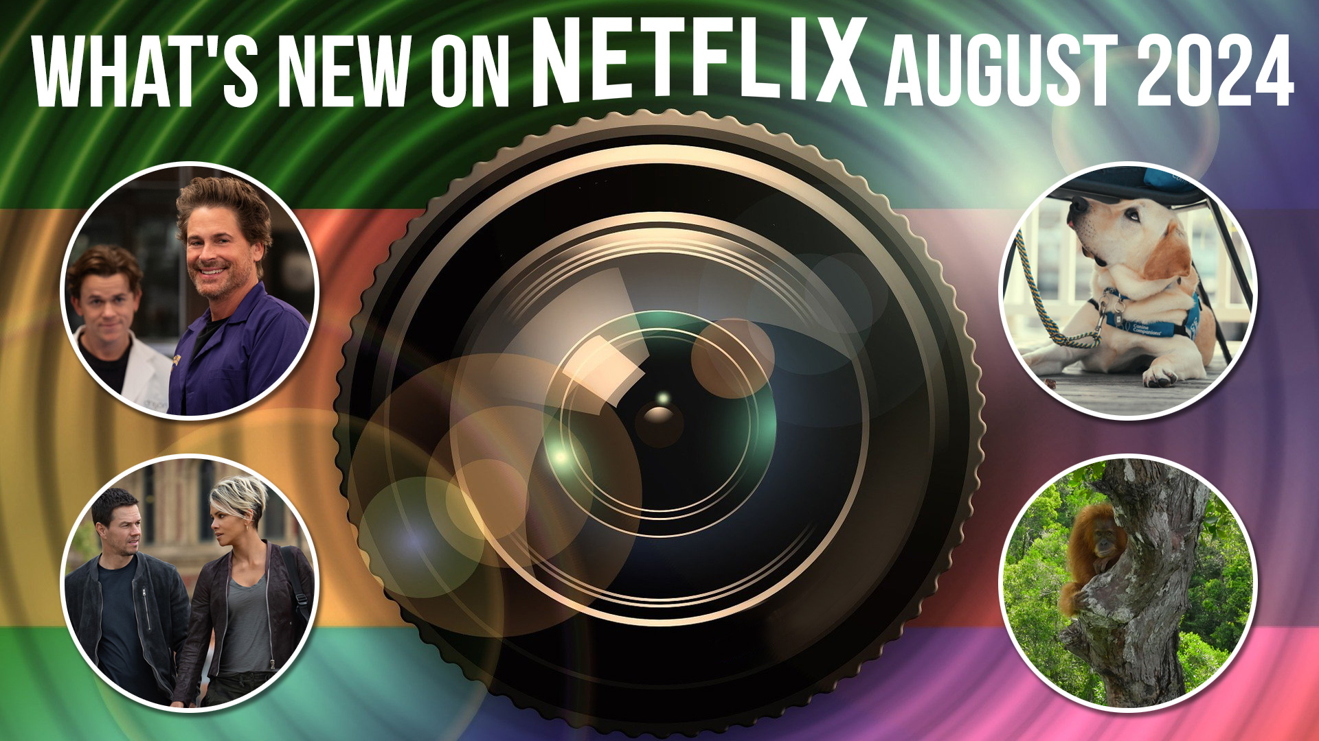 What’s new on Netflix Canada August 2024 and what’s leaving « Celebrity ...